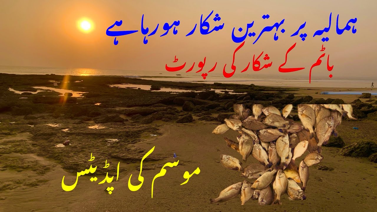 Humaliya fishing! Humaliya fishing reports! Kemari fishing! Manora ...