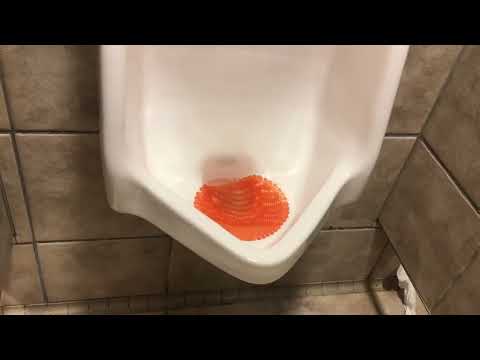 Bathroom Tour: Crane Cromwell Urinals, Kohler Kingston & Crane Placidus ...