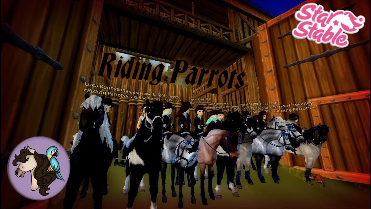 SSO Riding Parrots 2017 - YouTube