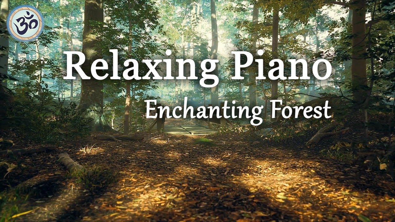 Relaxing Piano, Enchanting Forest, Nature Sounds, Piano Music, Stress ...