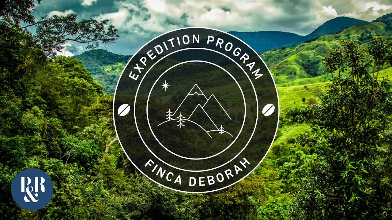 Pablo & Rusty's Expedition Program: Finca Deborah CM | Geisha Washed Filter - YouTube