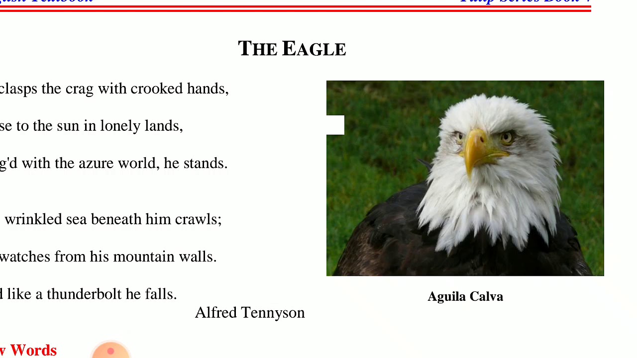 Poem"The Eagle" - YouTube