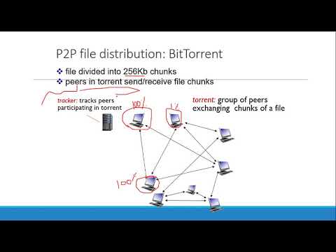 How P2P Architecture of Applications Works? |Lecture 7| Data ...