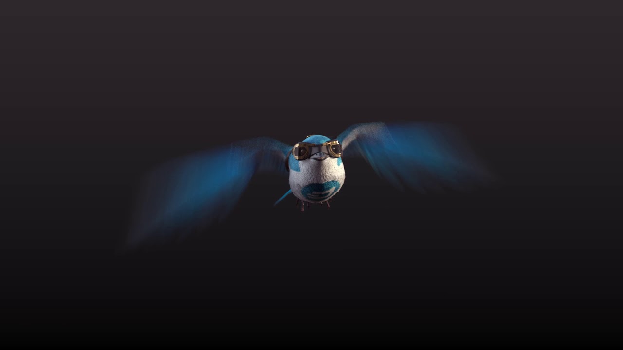 Dash Bird Animation By Pieter Eralith - YouTube