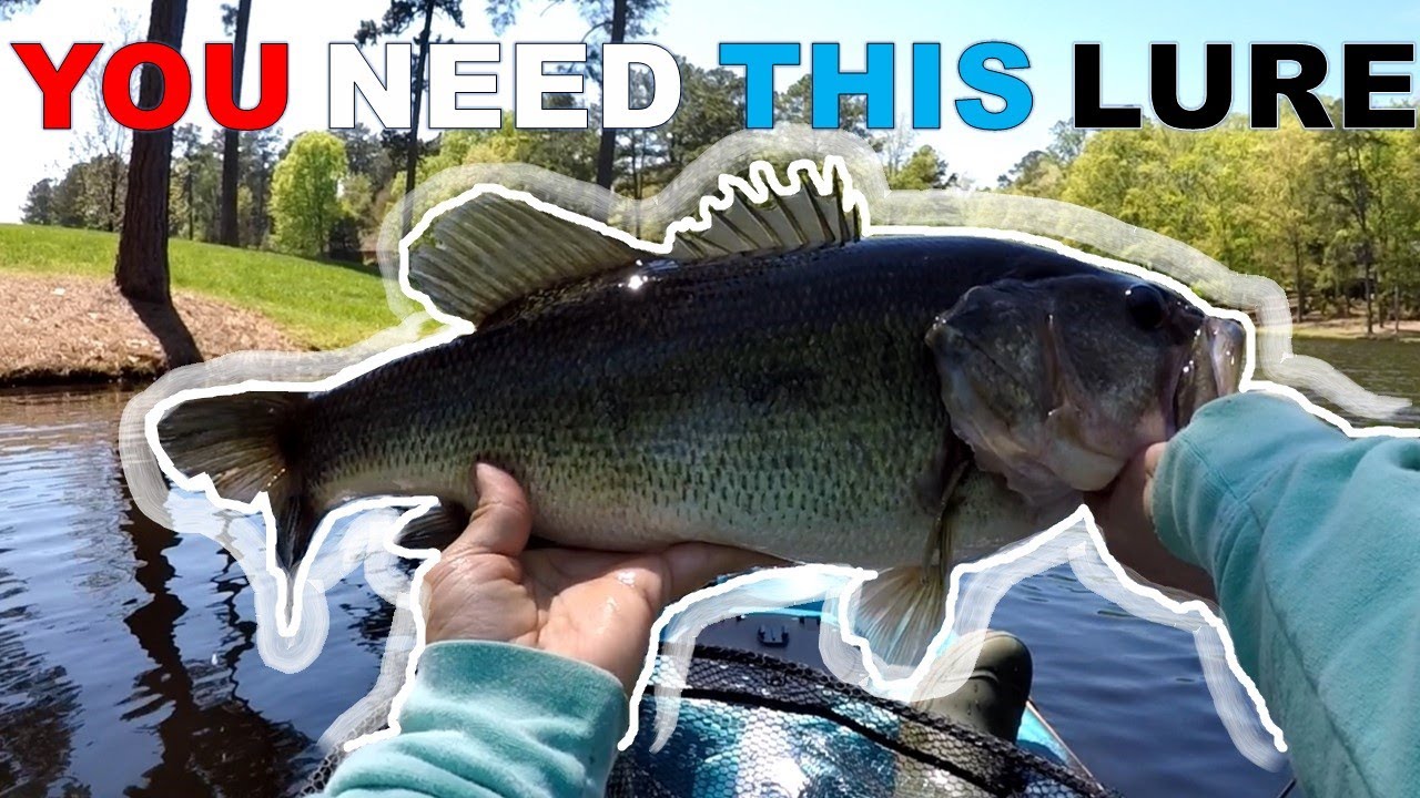 You can never go wrong weightless wacky rigging - YouTube