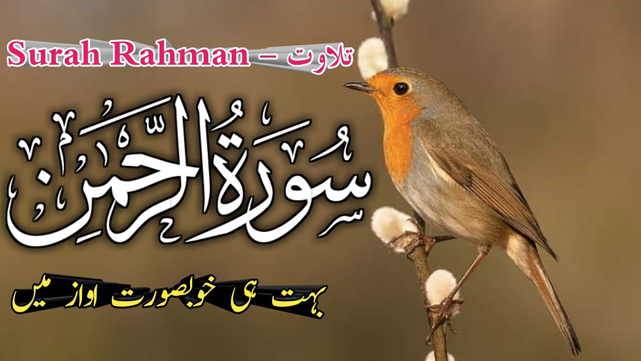 Surah Rahman - Full Qari Rehan Karim Beautiful Voice #Ep16- No AdS ...