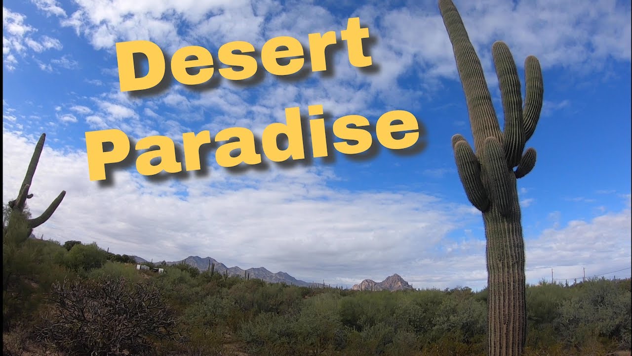 Relaxing in the Arizona Desert - YouTube