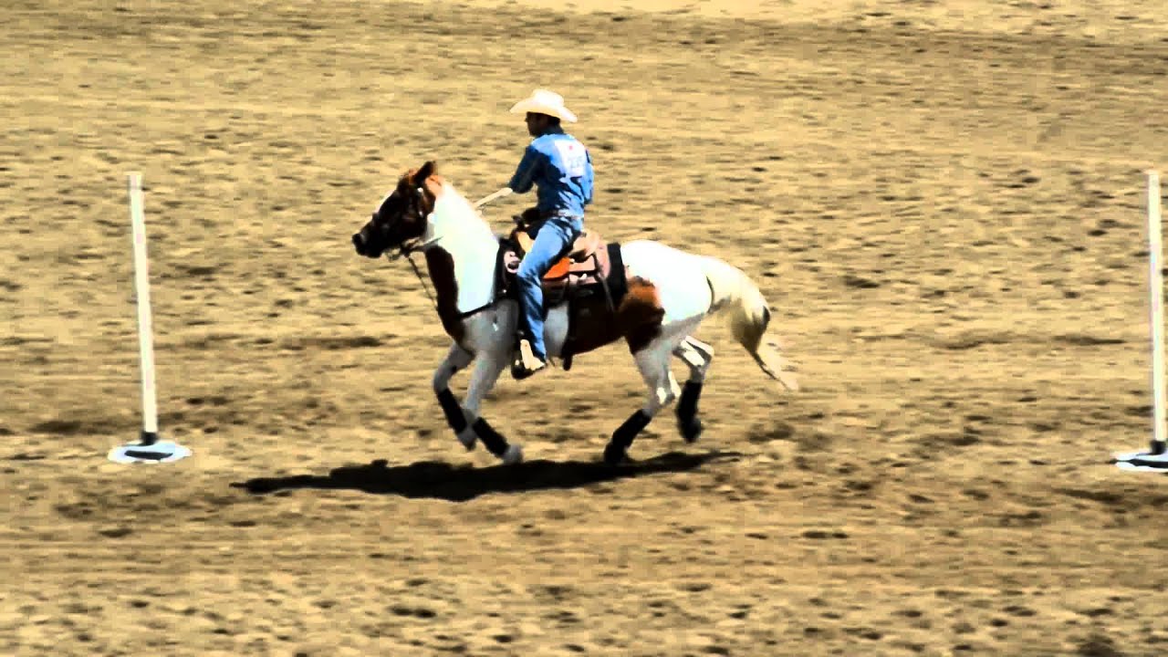 2014 CGRA Rodeo, Pole Bending - YouTube