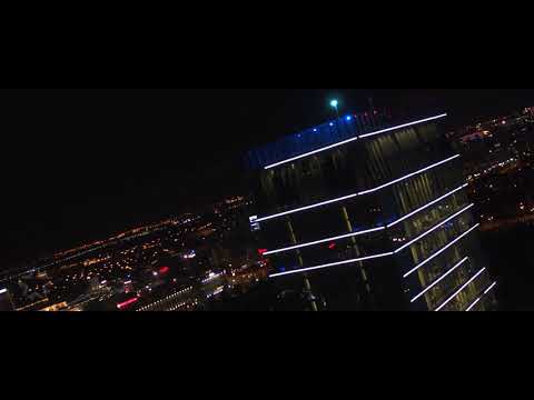 CYGO - Panda