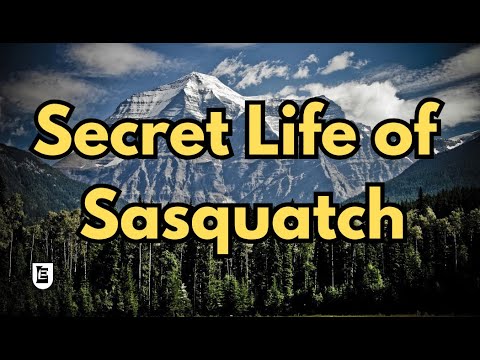 Secret Life of Sasquatch from a Native Bushman - YouTube