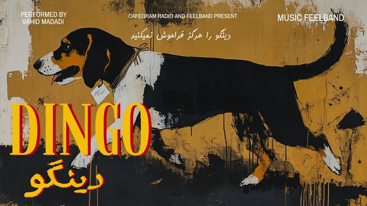 دینگو Dingo - YouTube