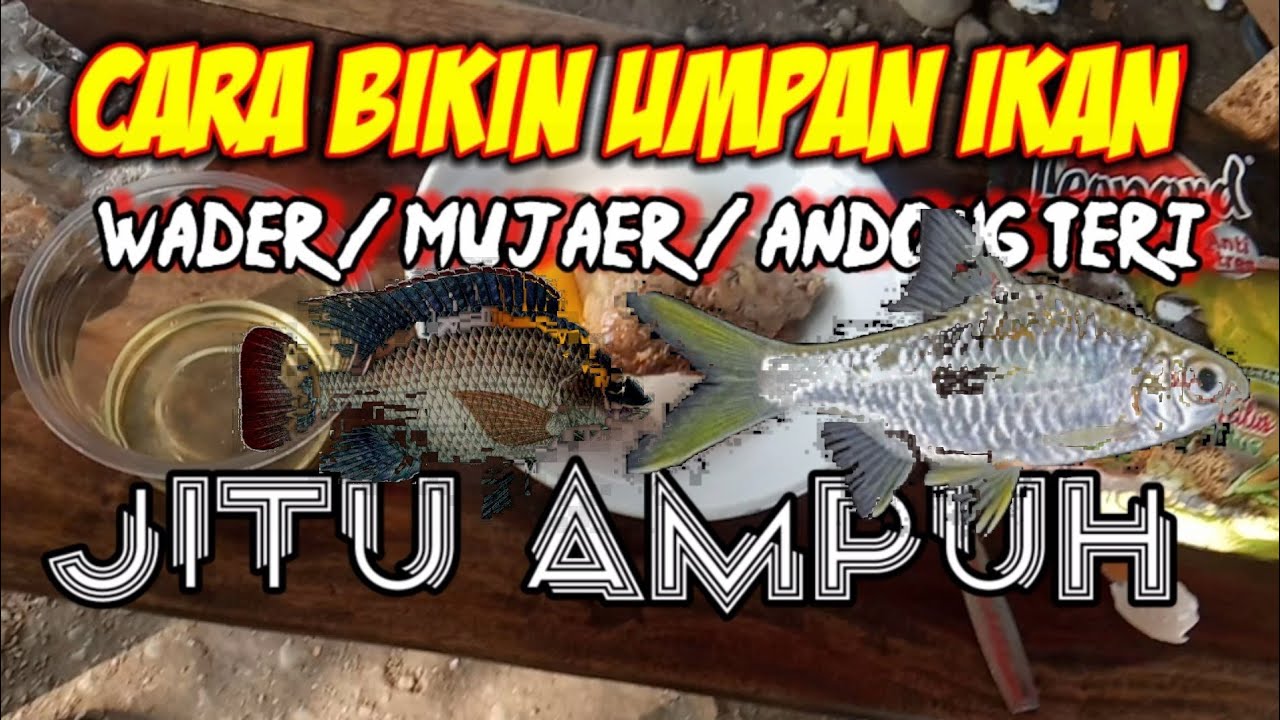 CARA BIKIN UMPAN IKAN WADER ANDONG JITU - YouTube