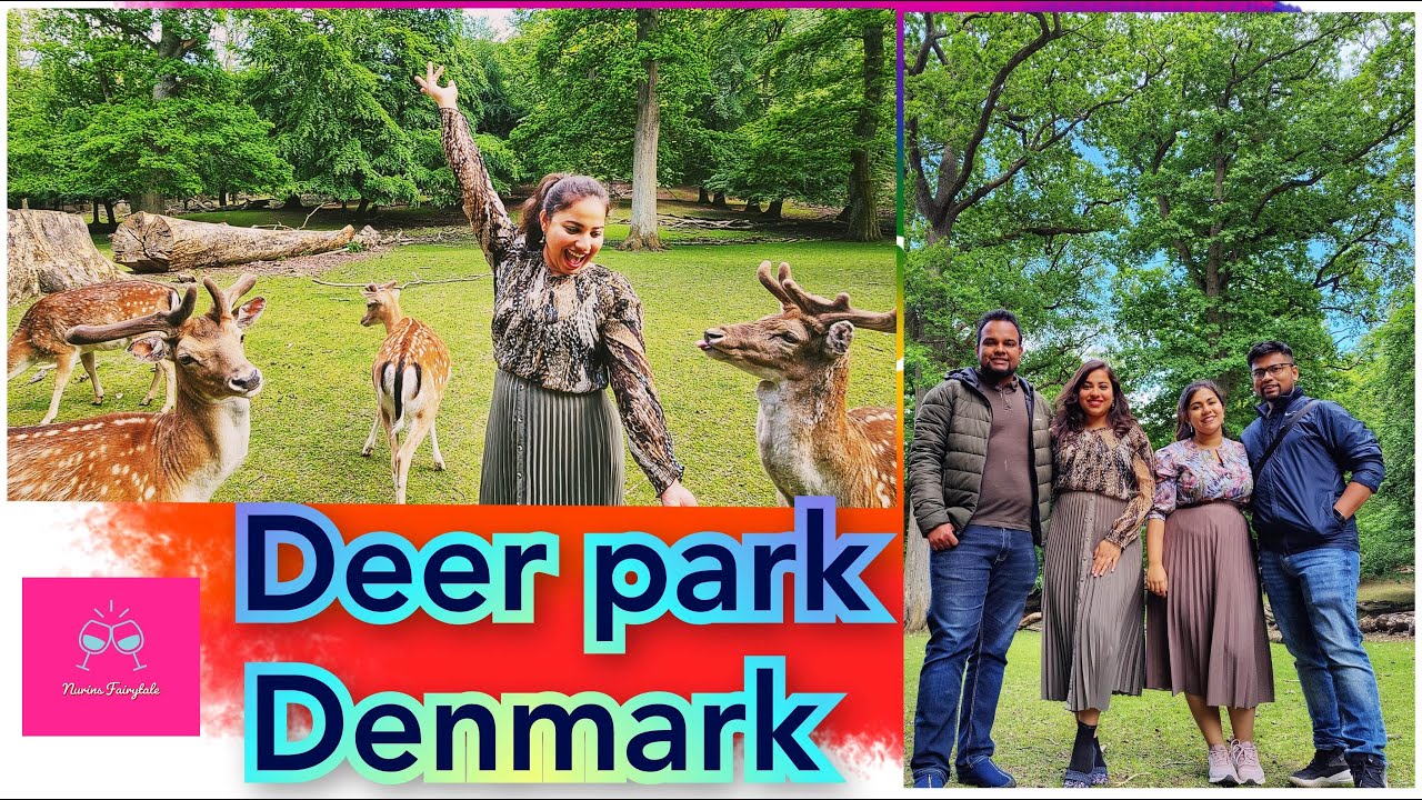 Deer Park in Denmark - YouTube