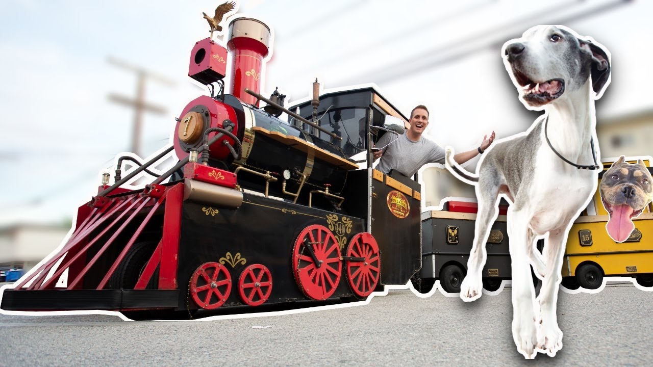 Can A Medium Sized Dog Ride On A Train