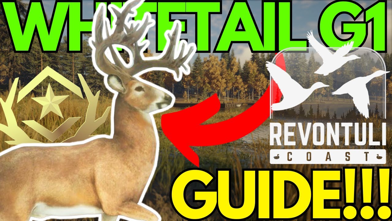WHITETAIL Great One SETUP & ZONE Guide for REVONTULI COAST - Call of ...