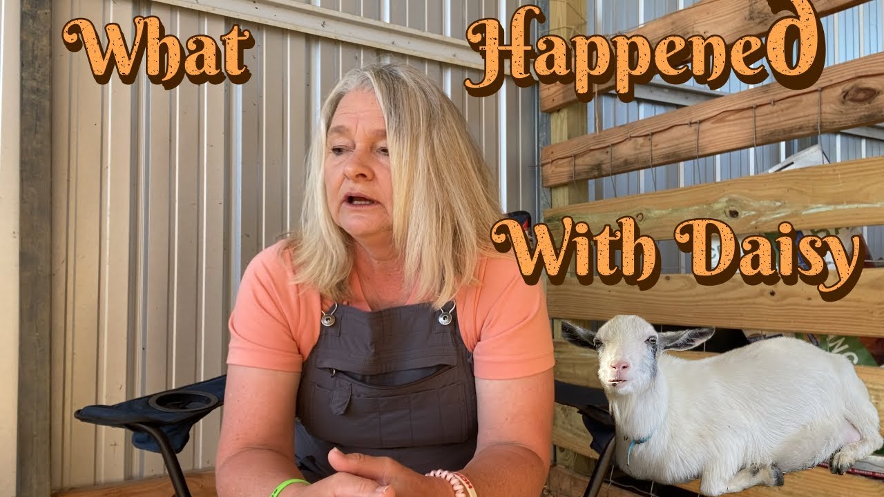 What Happened to Daisy - YouTube