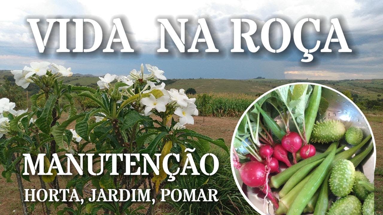 Transformação Na Roça: Plantio e Cuidados Com Jardim, Horta e Pomar ...