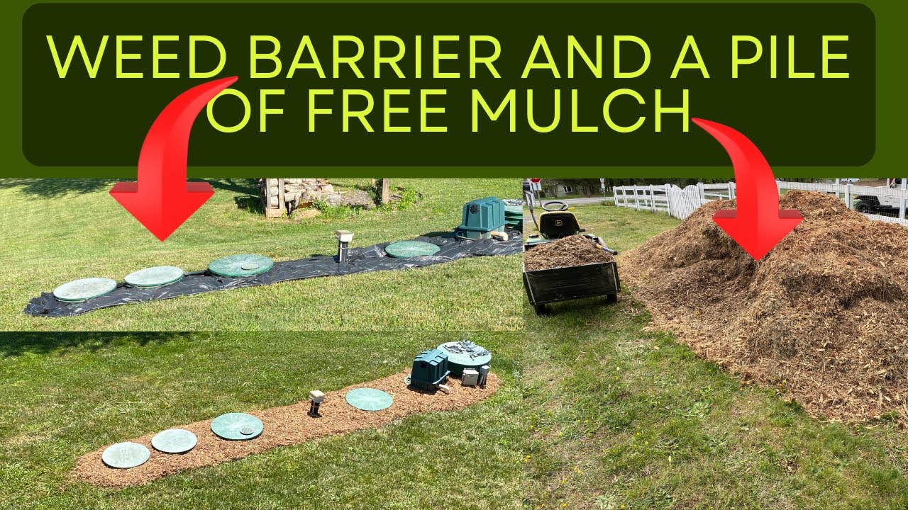 Free Mulch & Weed Block: The Ultimate Garden Hack - YouTube