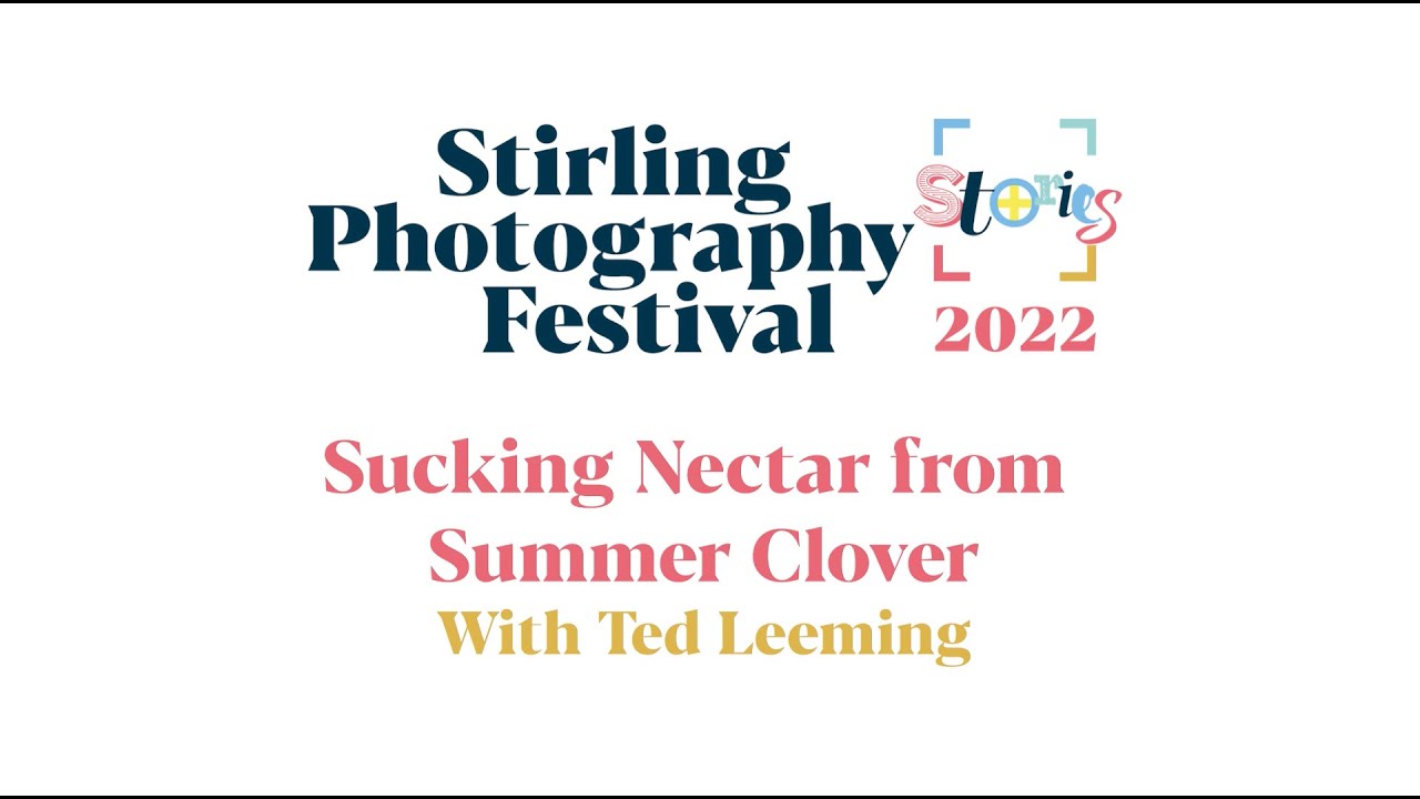 Stories 2022 - Sucking Nectar from Summer Clover with Ted Leeming ...