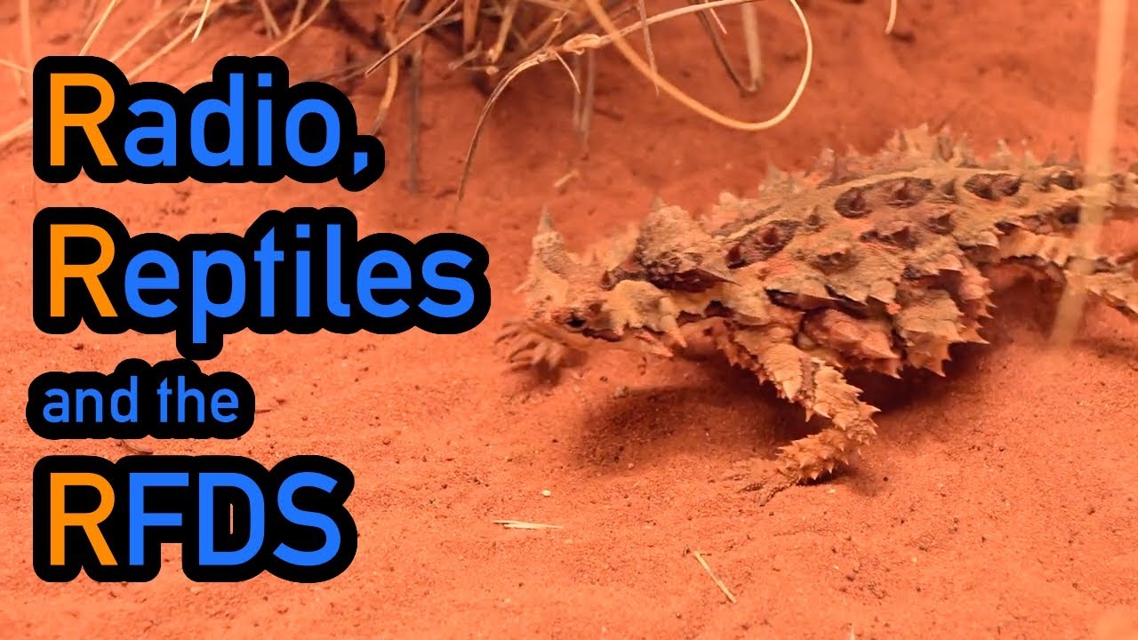 Alice Springs - in search of Radio, Reptiles and the RFDS - YouTube