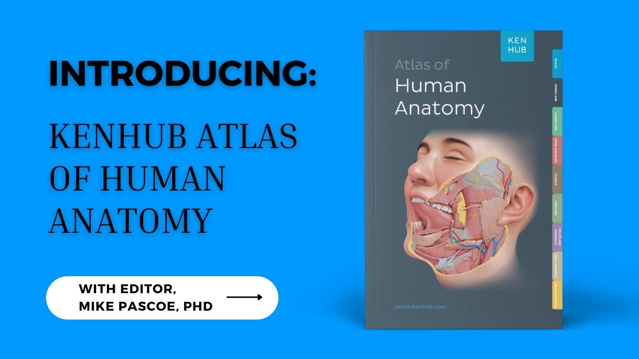 Editor Perspective: Kenhub Atlas of Human Anatomy - YouTube