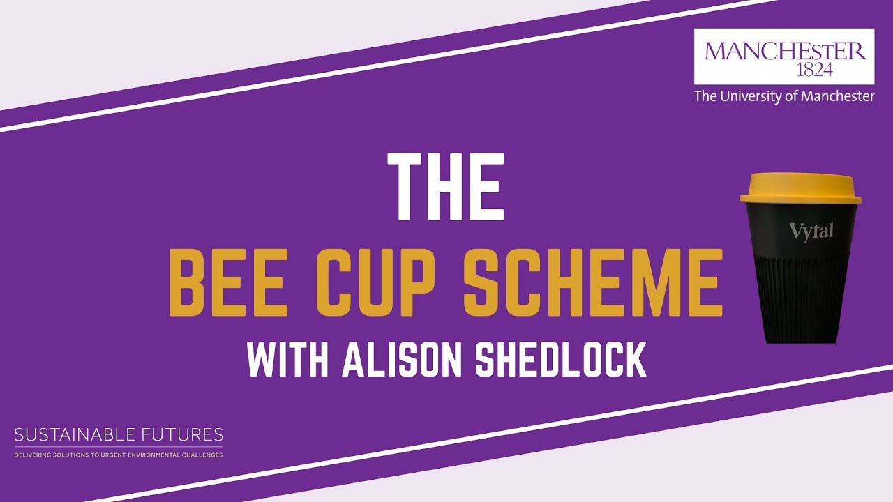 The Bee Cup Scheme - YouTube