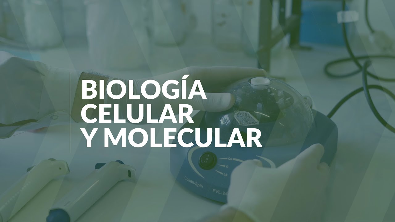 Biología Celular y Molecular - YouTube