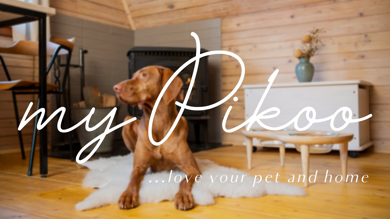 my Pikoo - love your pet and home (promo video) - YouTube