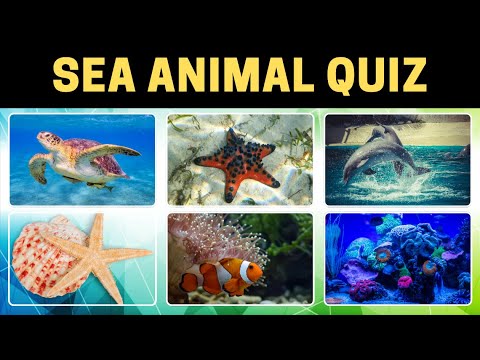 Sea Animal Trivia Quiz | 30 Questions | Test Your Marine Knowledge ...