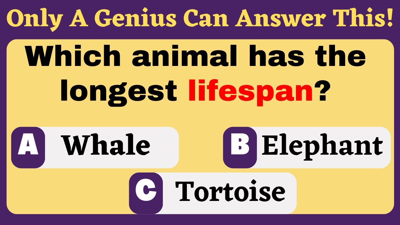 General knowledge quiz with answers | daily trivia quiz | mixed trivia ...