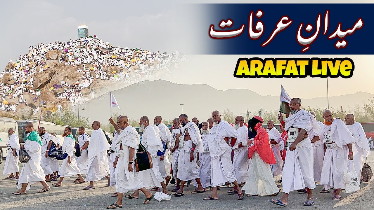 Arfat live | last update from arfat | hajj 2023 updates - YouTube