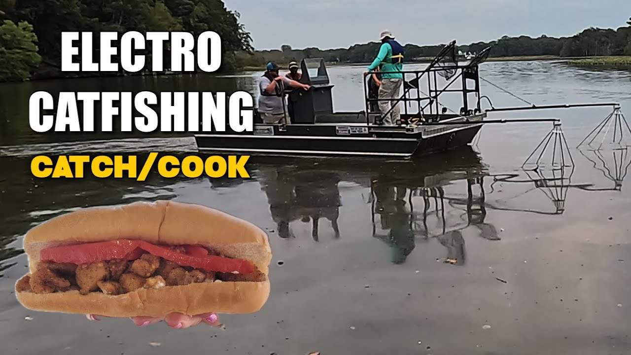 Shocking Big Blue Catfish + Maryland Po’Boy Catch & Cook - YouTube
