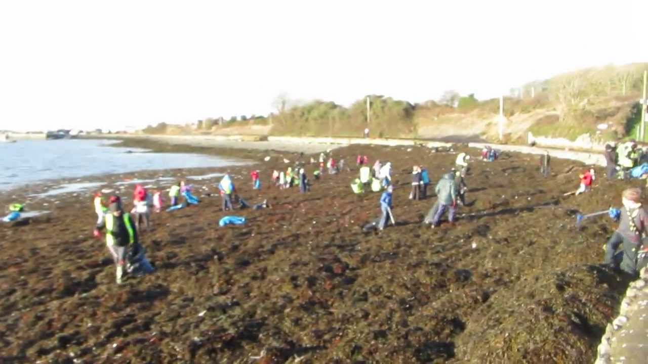Conservation Volunteer Galway 11-01-2014 Beach Clean Up in Rinville ...