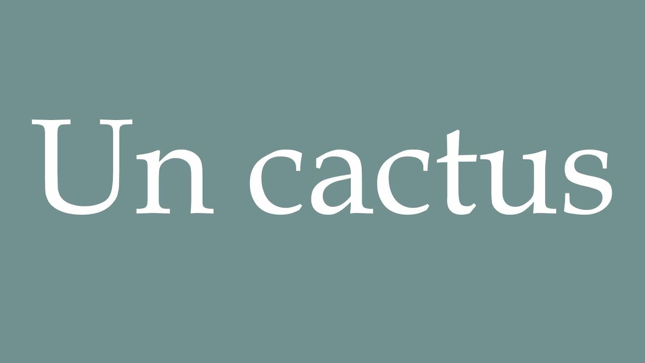 How to Pronounce ''Un cactus'' (A cactus) Correctly in French - YouTube