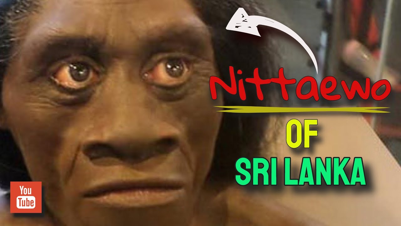 Nittaewo of Sri Lanka (2019) - Myth or Fact? - YouTube