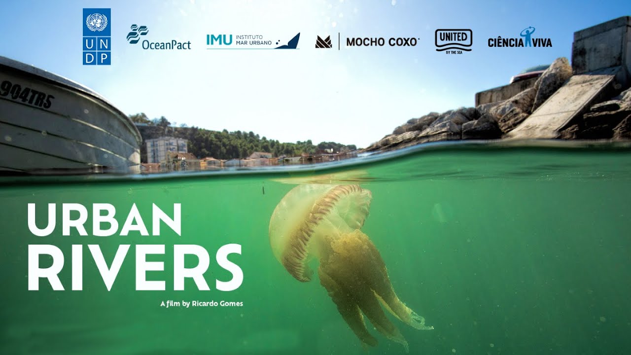 Rios Urbanos (Urban Rivers) - Filme Completo - YouTube