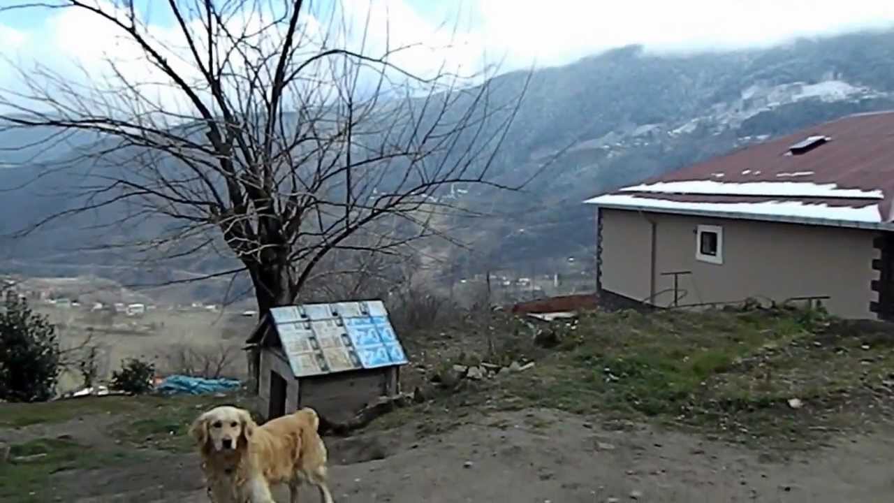 TRABZON-MAÇKA-HIZARLI-KÖYÜ - YouTube