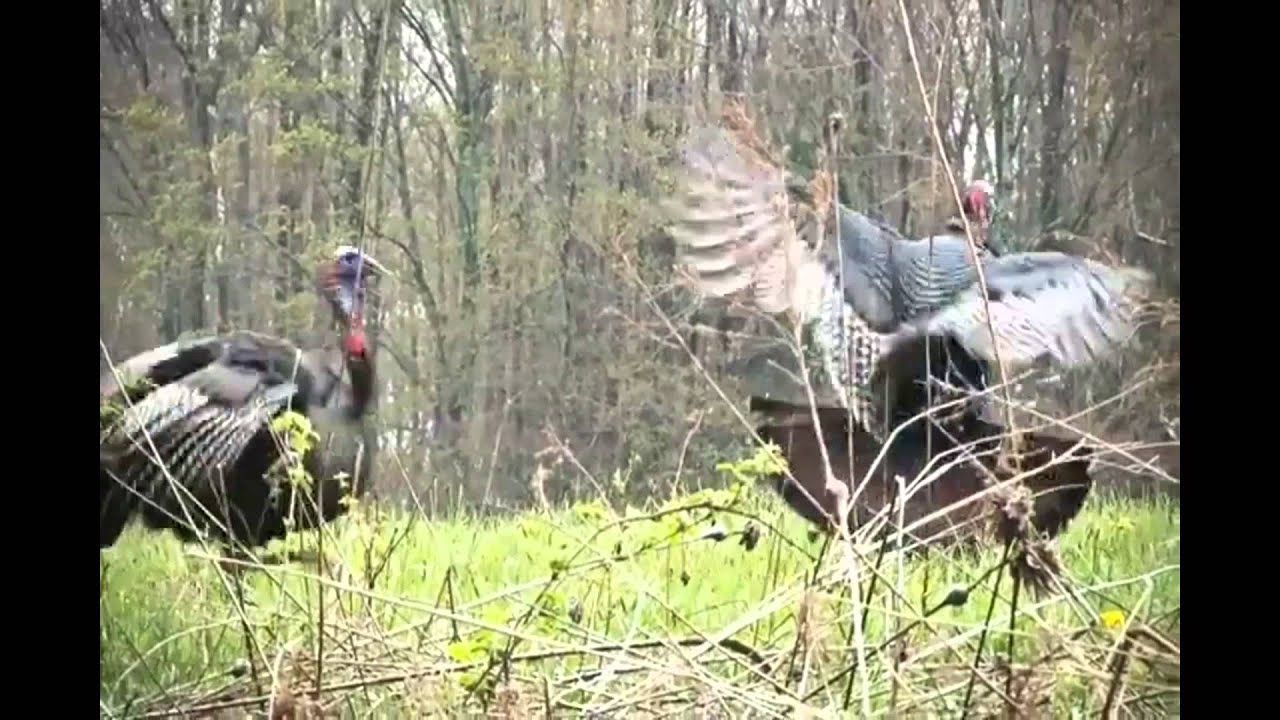 Patternmaster Product Profile by Matt Morrett - YouTube