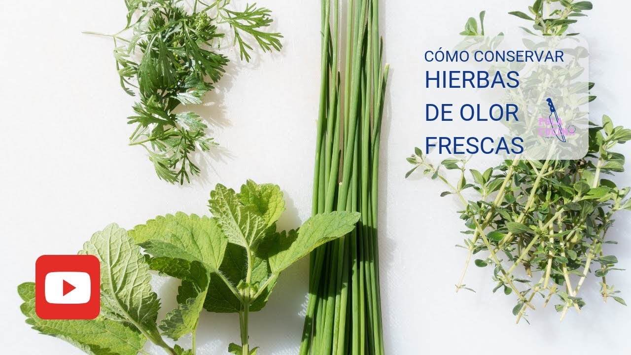 Cómo conservar hierbas de olor frescas - YouTube