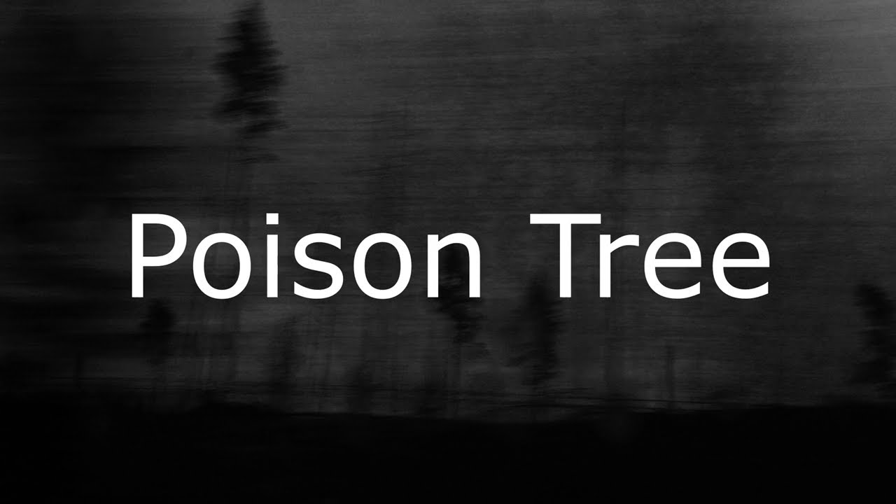 Grouper - Poison Tree (Lyrics In Japanese & English / 英詞 +日本語私訳) - YouTube