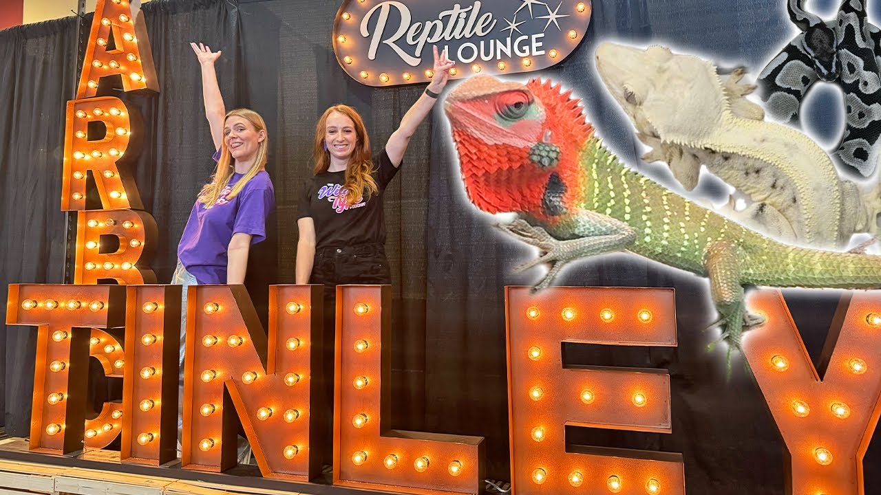 The LARGEST Reptile Expo I've Been To! | NARBC Tinley Park - YouTube