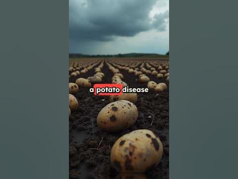 The great Irish potato famine #ireland #famine #potato - YouTube