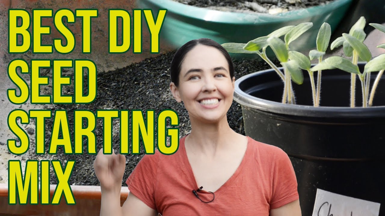 Best All Natural DIY Seed Starting Mix from Scratch for Free - YouTube