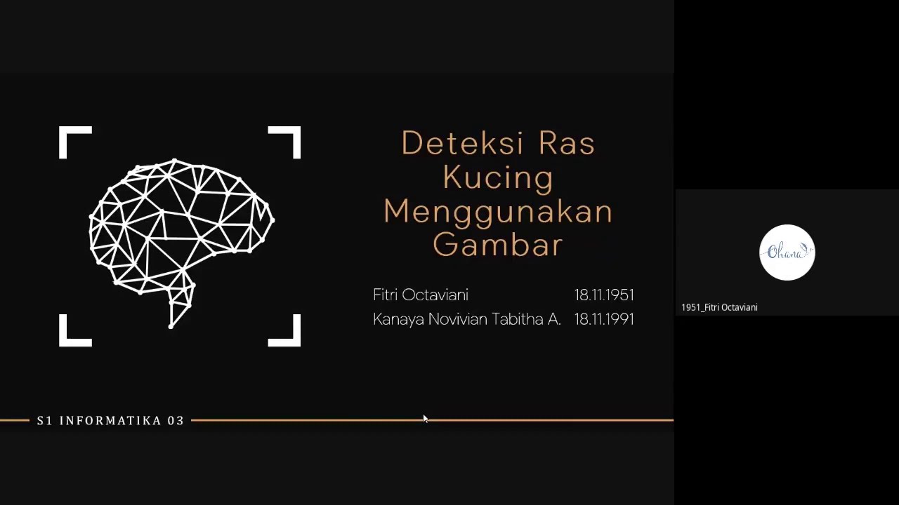 Deteksi Ras Kucing Berdasarkan Citra Dengan Metode Algoritma CNN - YouTube