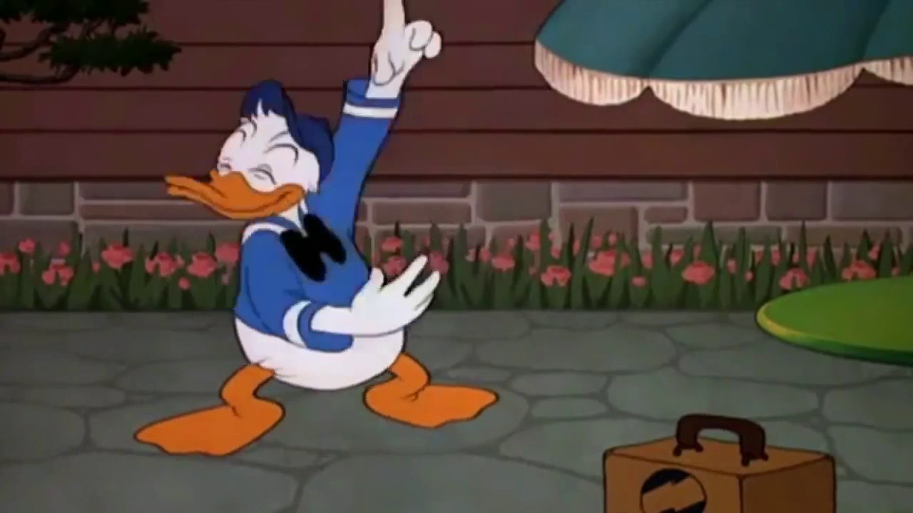 ᴴᴰ Donald Duck & Chip and Dale Cartoons Disney Donald Duck Slide Donald ...