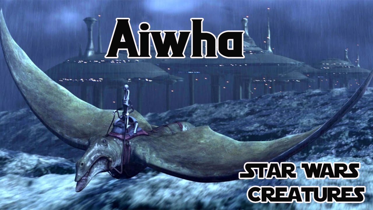 Aiwhas | Star Wars Creatures - YouTube