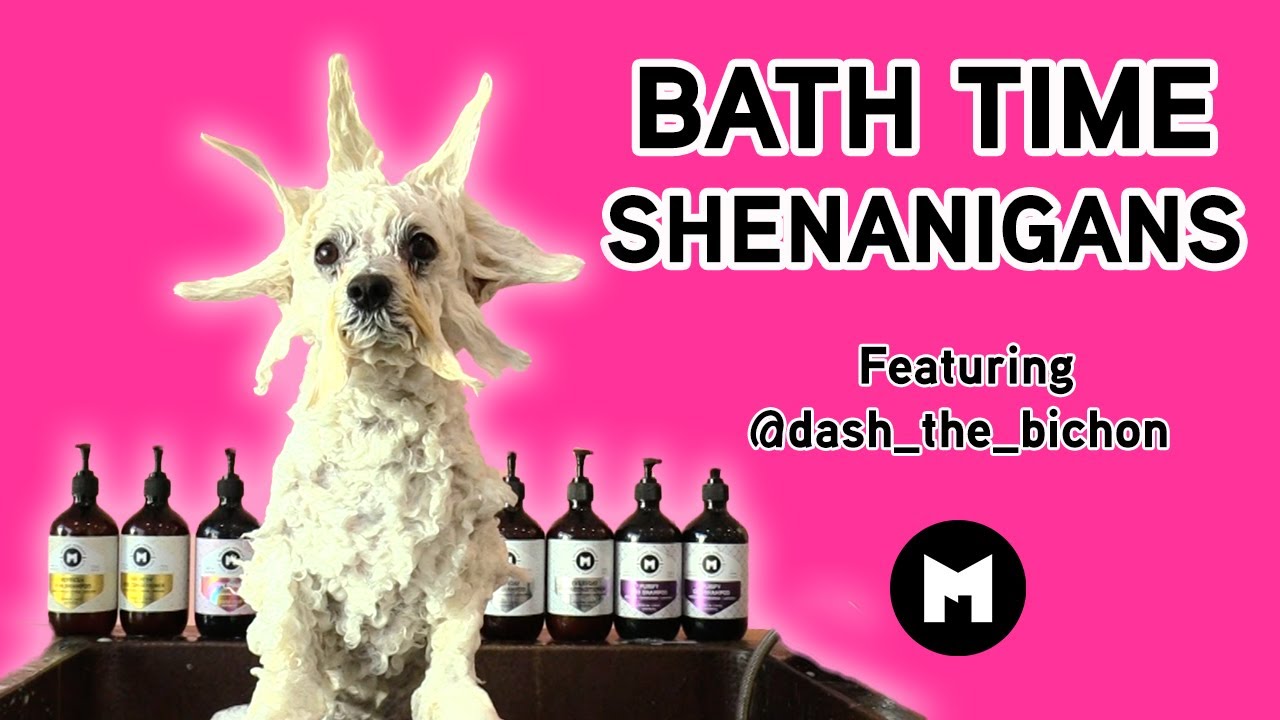 Bath Time Shenanigans - YouTube