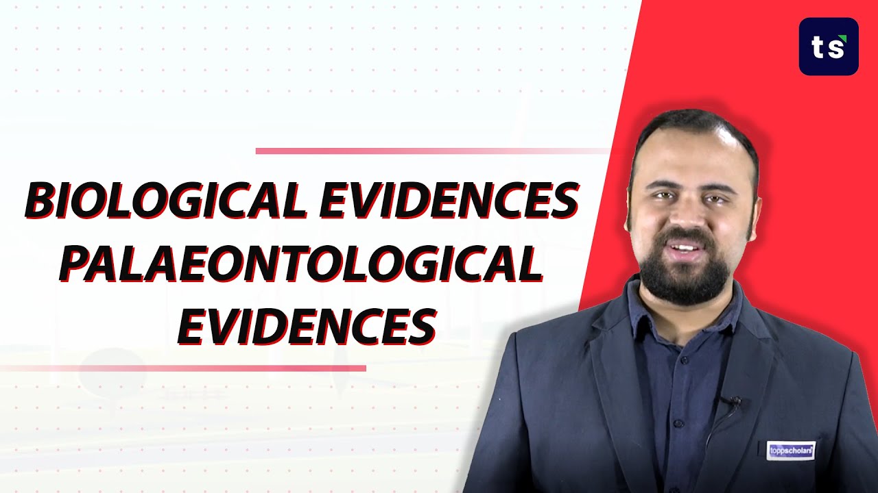 Palaeontological evidences of evolution | Biology | Evolution - YouTube