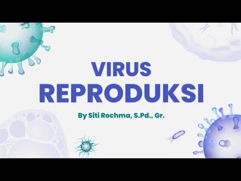 Reproduksi Virus - Daur Litik dan Lisogenik #virus #reproduksi #shorts ...