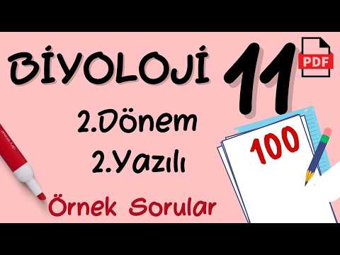 Biyoloji 11. Sınıf 2. Dönem 2. Yazılı MEB Örnek Sorular Biyoloji 11 yazılı